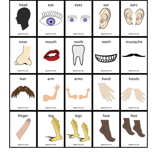 Mr. Potato Head – Speech Kids Calgary